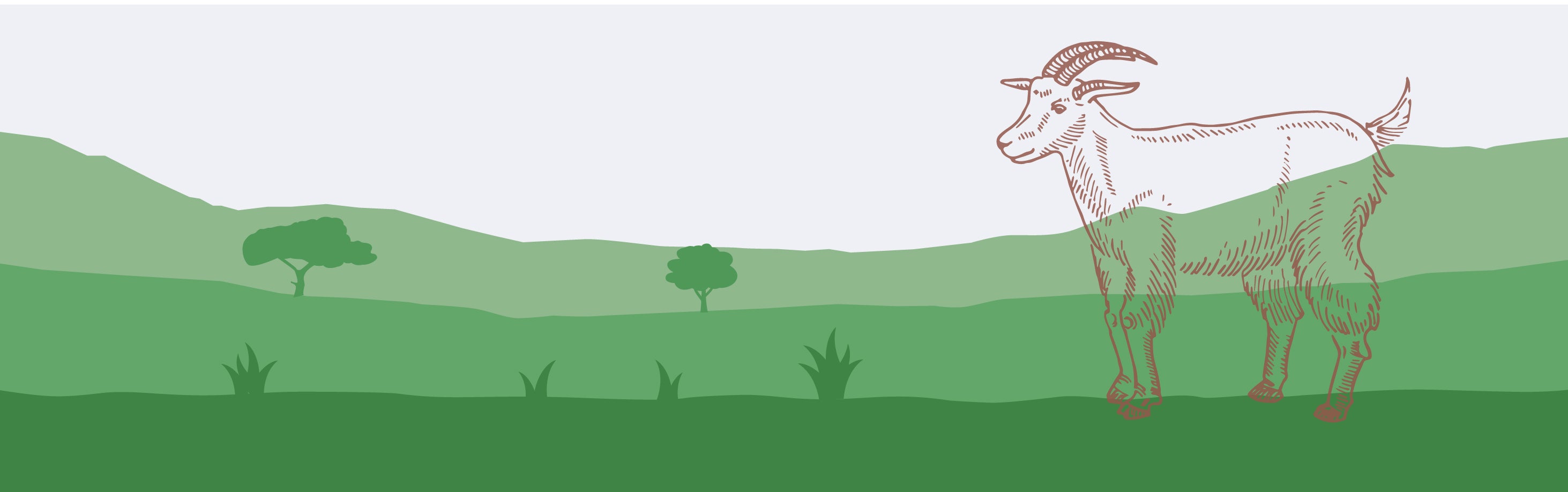 Goat Organic Selections – Bon Apawtit